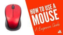 Mouse Button RunDown What Does Each Button On A Mouse Do