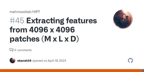 extracting features from 4096 x 4096 patches m x l x d · issue 45