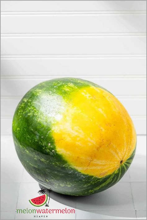 Beware The Shocking Truth About Yellow Spots Inside Watermelon
