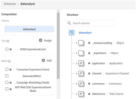 Implement Aep Web Sdk Launch Extension For Datanalyst