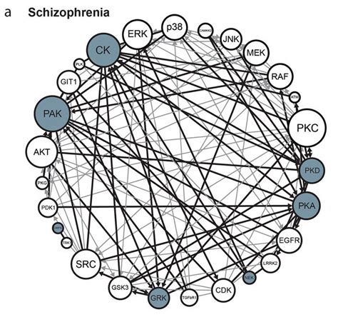 Abnormalities Of Signal Transduction Networks In Chronic Schizophrenia