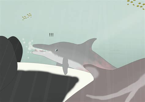 Rule 34 2023 Ambient Fish Ambient Sealife Ambiguous Gender Black Body