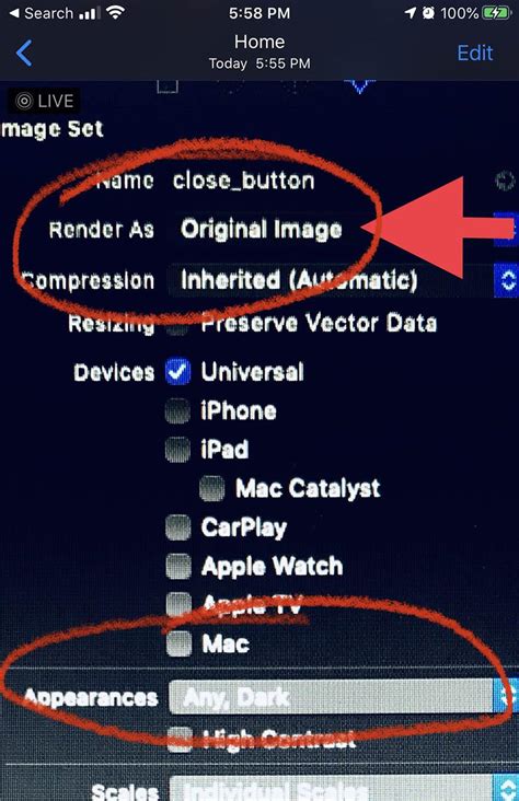 Uibarbuttonitem UIBarButton Icon Does Not Change When Theme Changes In IOS Stack Overflow
