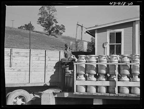Understanding Pasteurization Dairy Expert Explores The Technique To