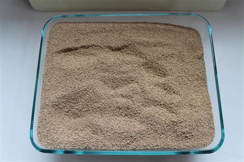 Udon Soup With Salmon Shrimp Chicken And Greens Udon Soup With Salmon Shrimp Chicken And Greens