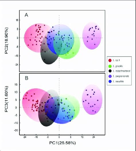 Principal Component Analyses Pca Showing Correlation Between Download Scientific Diagram