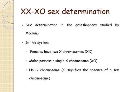 PPT Mendel S Second Law Of Independent Assortment Understanding And Application PowerPoint