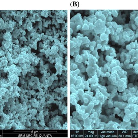 Sem Images Ag Sio2 Core Shell Nanoparticles Ag S4 A And Ag S5 B