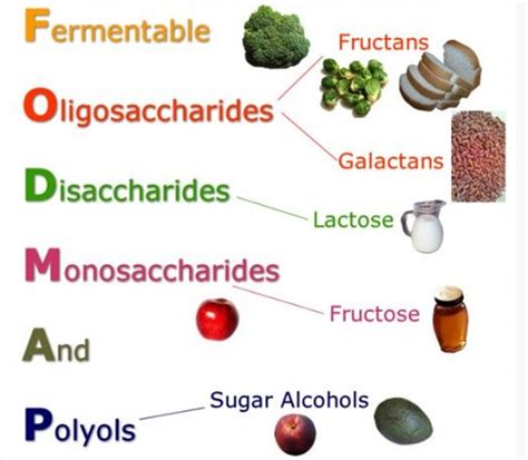 Introductie Fodmap Dieet Fodmapdietist