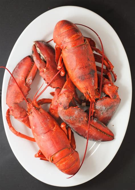 Simple Steamed Lobster Artofit