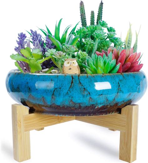 Succulent Pots Large Succulent Planters Pots With