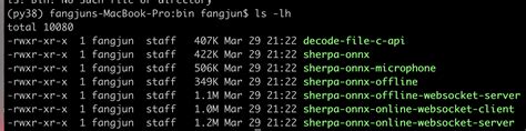 put pre compiled binaries into the wheel · issue 100 · k2 fsa sherpa