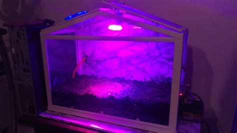 Iot Farm Timelapse Cayenne Arduinoraspberry 9 Steps With Pictures Instructables