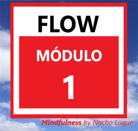 Flow Modulo 1 Aula365