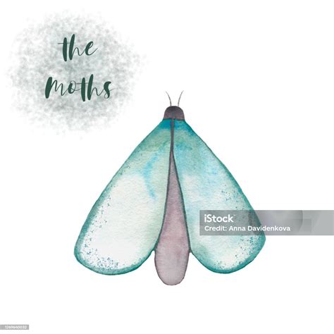 푸른 나방 나비의 수채화 그림 수채화와 함께 손으로 그려져 있으며 모든 유형의 디자인 및 인쇄에 적합합니다 0명에 대한 스톡 벡터 아트 및 기타 이미지 Istock