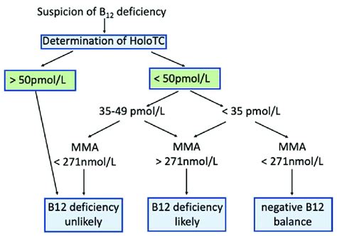 algorithm for the detection of b12 deficiency an algorithm for the