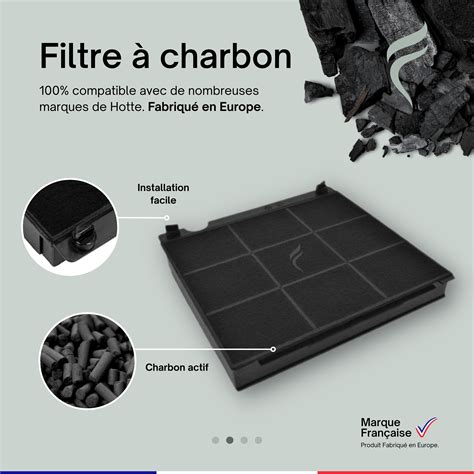 Point Filtre® Fil12 Filtre à Charbon Actif Pour Hotte Proline Co