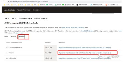 Springboot 21x版本直升 31x版本踩坑过程记录（java8升级到java17）idea Springboot版本升级