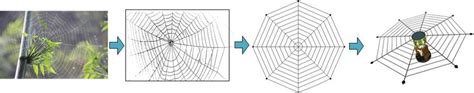 Bionic Design Process Download Scientific Diagram