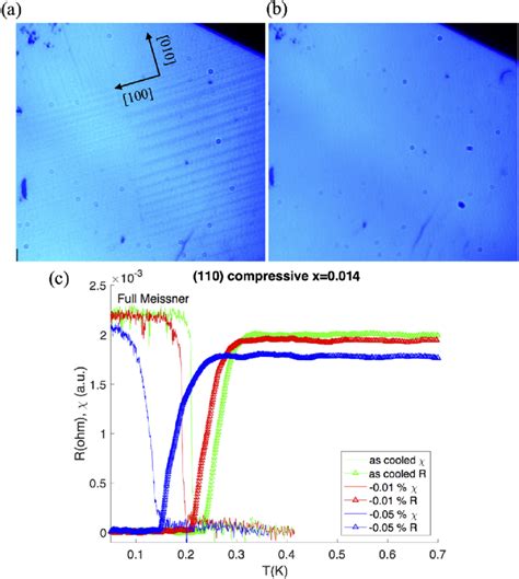 Simultaneously Acquired Optical Images A B As Well As Magnetic And