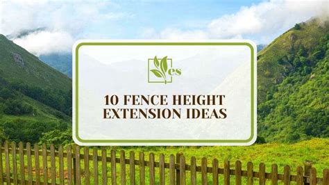 Fence Height Extension Ideas How To Make Your Fence Taller Evergreen Seeds