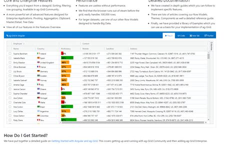 ag grid angular react is not loading in firefox or edge but works in