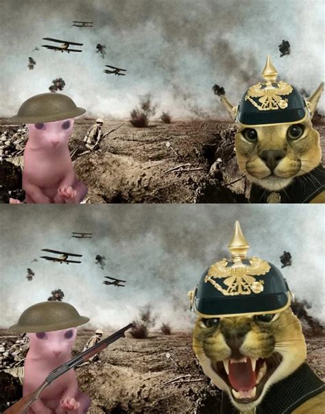 Bingus And Floppa In The Trenches R Bingus