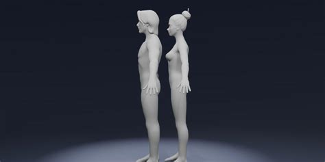 Stylized Male And Female Body Base Mesh 3d Model Ikfk Rig Face Rig Game And Animation Ready