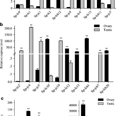 Hongyu Ma Ph D And Professor Shantou University Stu Marine Biology Institute Research