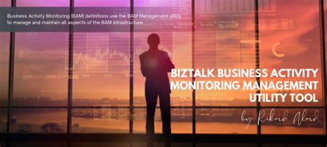 Biztalk Business Activity Monitoring Management Utility Tool Sandro Pereira Biztalk Blog
