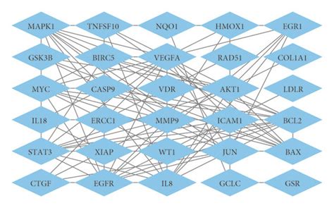 A Predicted Targets By Pin B Clusters Predicted By Mcode Mapk1