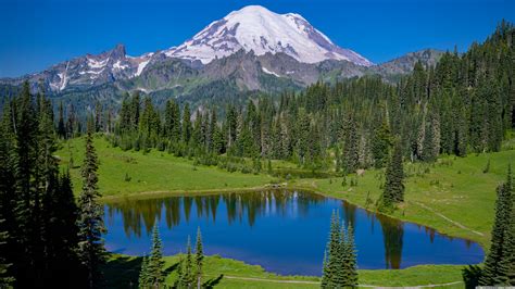 Landscape Tipsoo Lake Mt Rainier National Park Washington 4k Uhd