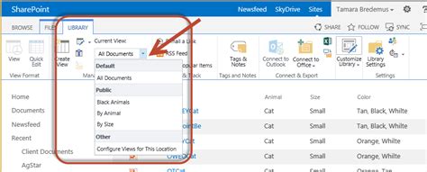 Links To Additional Views Disappear In Sharepoint 2013 When Ootb Style