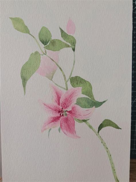 固体水彩画入门 固体水彩画入门一步一步教 博物迷 固体水彩画入门 固体水彩画入门一步一步教 博物迷