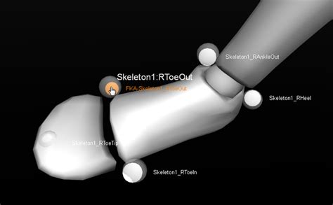 Labeling External Optitrack Documentation