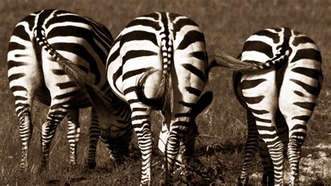 Curiosity And A Better Bottom Line