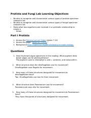 Protista And Fungi Lab Recognizing And Characterizing Specimens Course Hero
