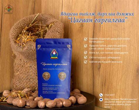 Манба Бусдад Туслахуй Анагаах Ухааны МАНБА ДАЦАН ХИЙД