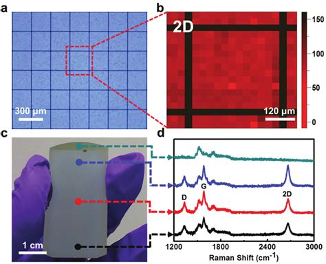 A Om Image Of Graphene On Sic Patterned By Photolithography B Download Scientific Diagram