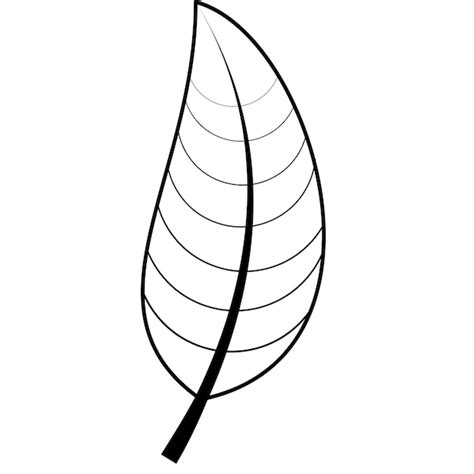 Contoured Leaf Vectors And Illustrations For Free Download Freepik