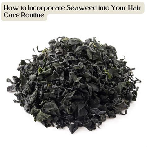 Seaweed For Hair Growth Top Benefits And How To Use It Clinikally