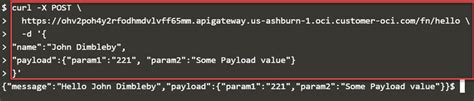 Oracle Cloud Serverless Functions Unleashed Exposing Oci Functions