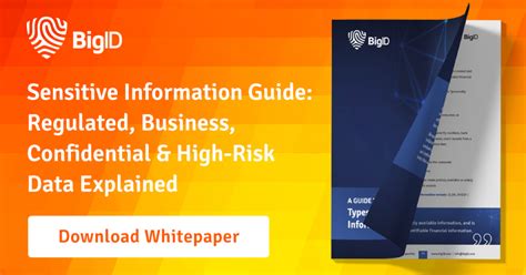 What Is Pii Data A Comprehensive Guide Bigid