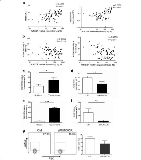 The Expression Of Runxor Is Associated With The Immunosuppression Of