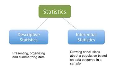 Descriptive Vs Inferential Statistics StatCalculators