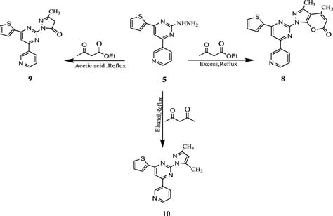 Synthesis Of Isolated And Fused Pyrimidine Derivatives Download Scientific Diagram