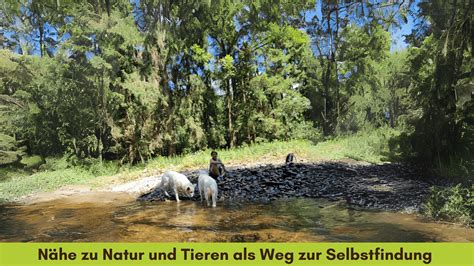 Nähe zu Natur und Tieren als Weg zur Selbstfindung und zur Entdeckung ...
