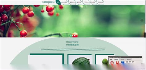 【附源码】java水果商城网站（ssm毕业设计 maven vue 计算机专业） javaweb农产品电商网页代码 csdn博客