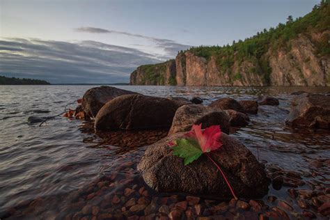 Bon Echo Pp Showing Signs Of Autumn Photograph By Stephanie Amaral