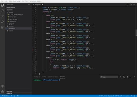Only Partial Syntax Highlighting In Switch Case Structure In C · Issue